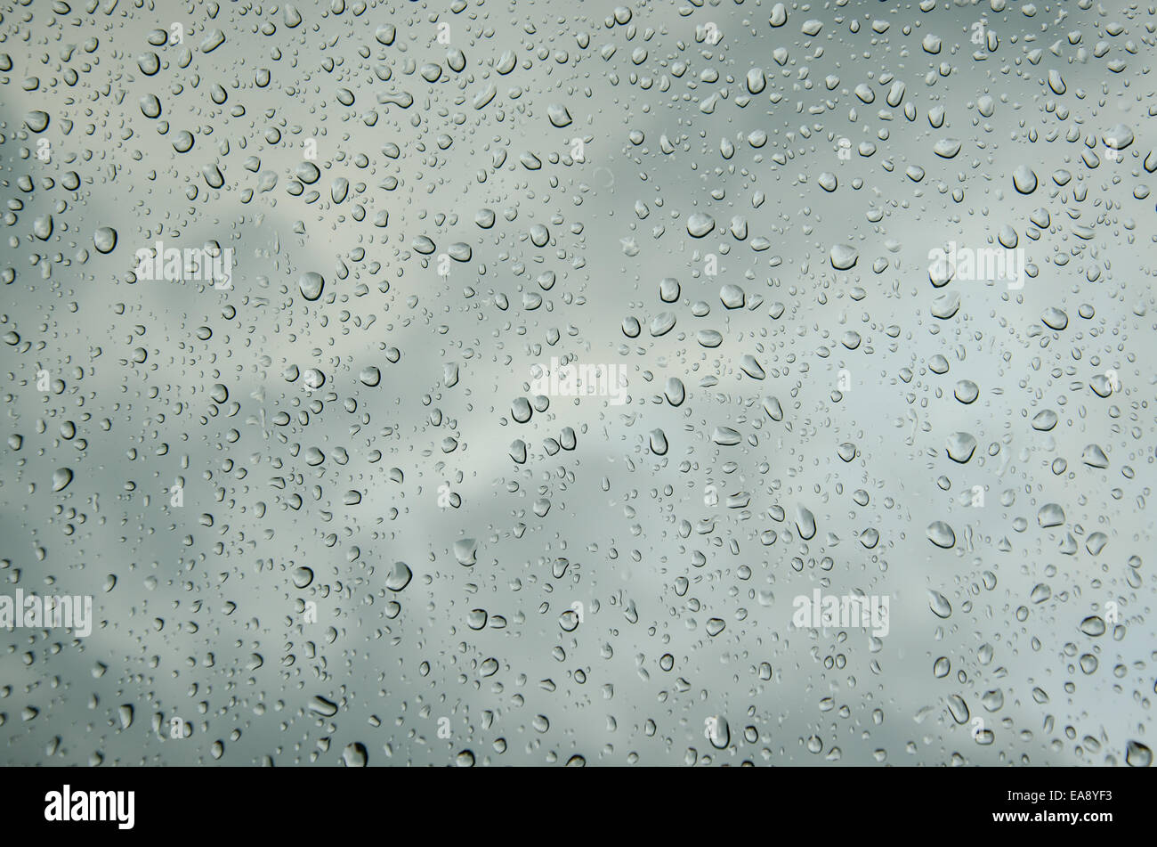 Water rain drop on glass hi-res stock photography and images - Alamy