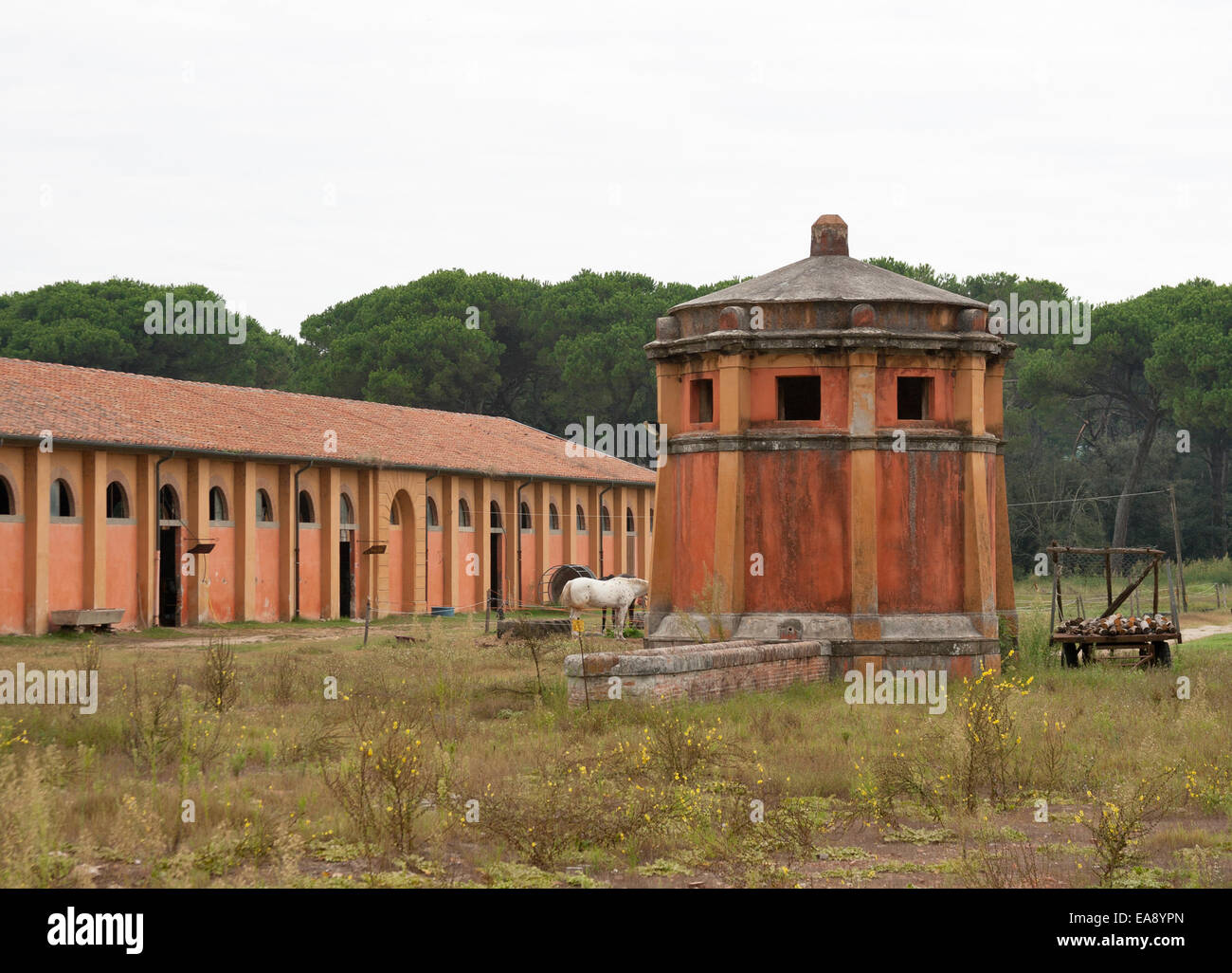 ancient building stable and troughs for horses on a farm in Tuscany ...