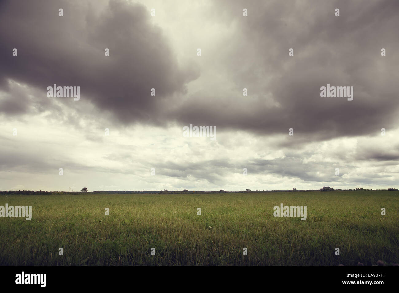 panoramic view of nice green valley on storm grey sky background Stock ...