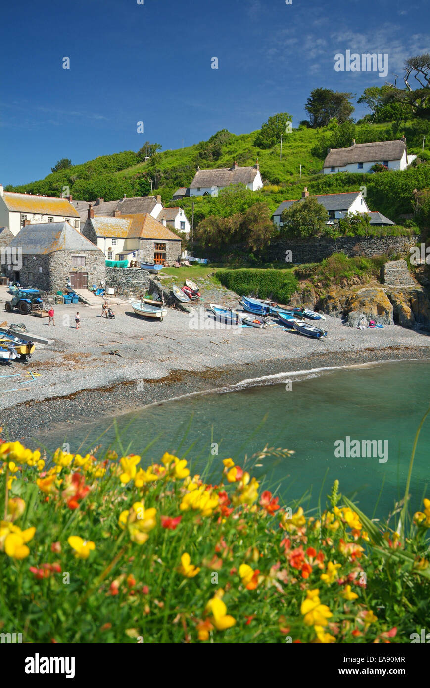 Thatched Cottages At Cadgwith High Resolution Stock Photography and ...