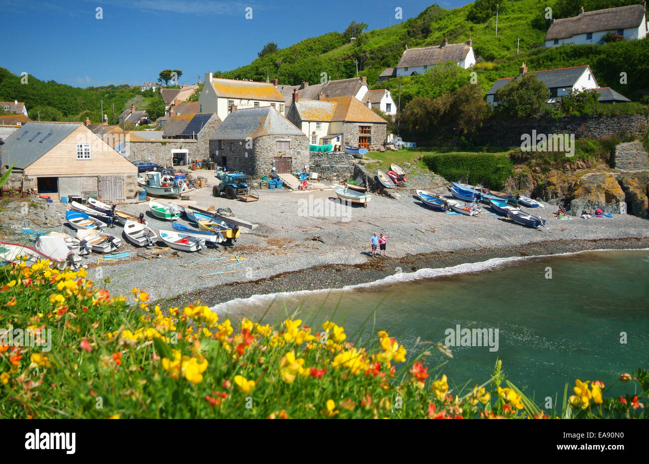 Thatched Cottages At Cadgwith High Resolution Stock Photography and ...