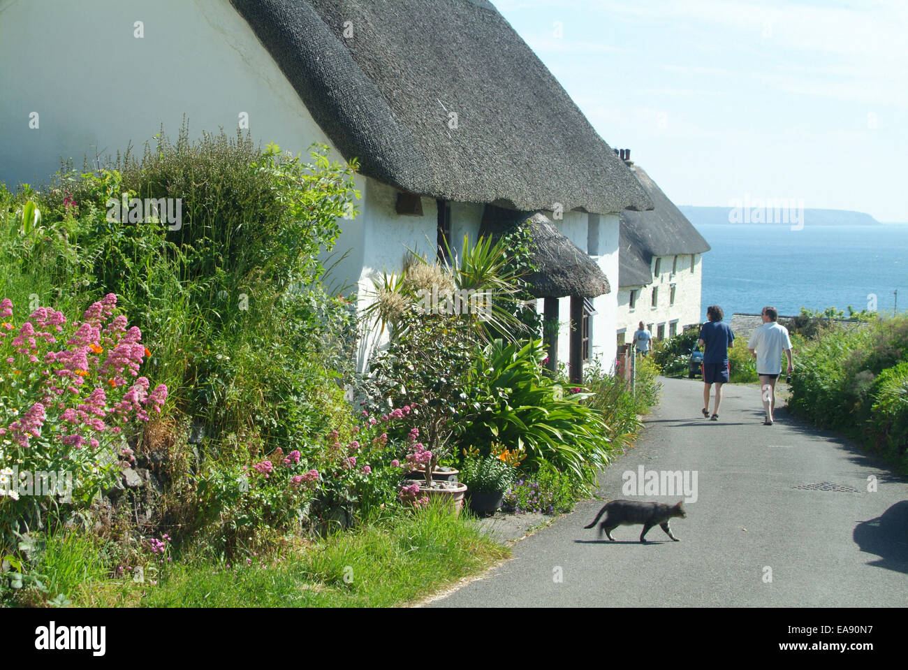 Kerrier Cornwall High Resolution Stock Photography and Images - Alamy