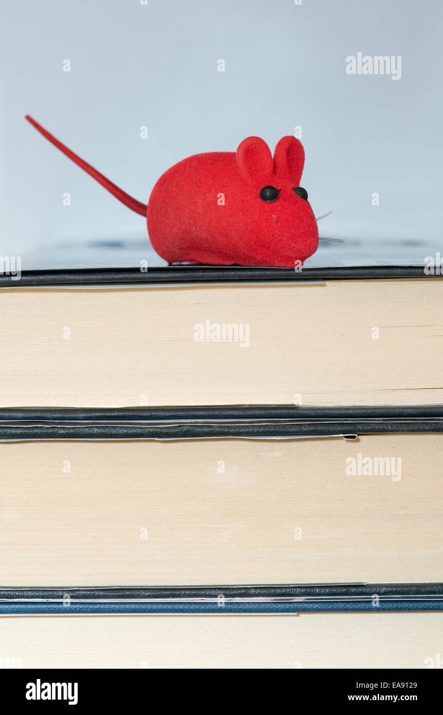 Mouse reading hi-res stock photography and images - Alamy