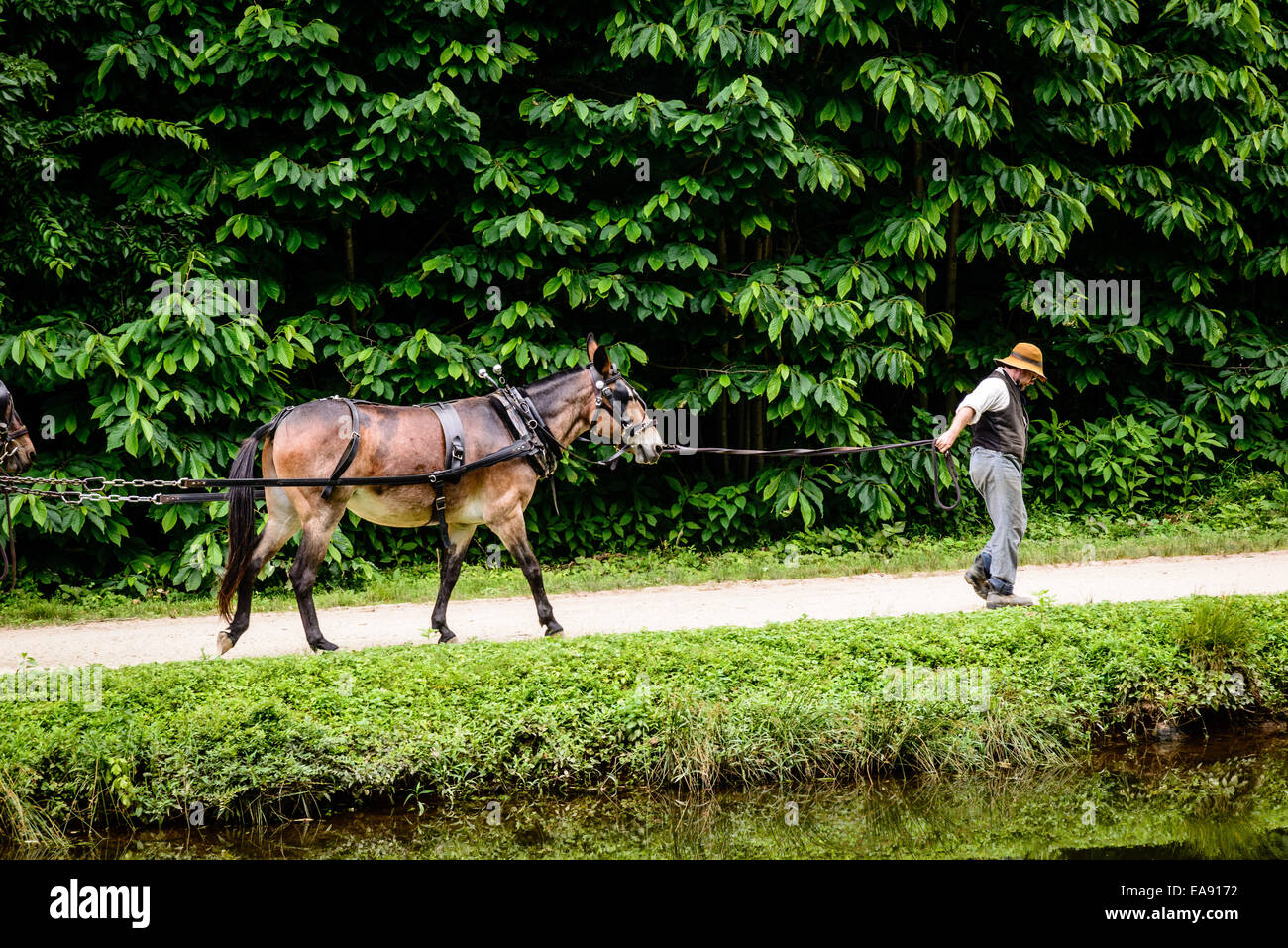 Mule team and drivers pulling Charles F Mercer, Great Falls Tavern, C&O ...