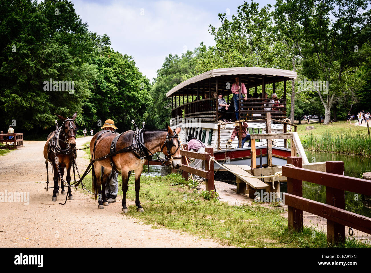 Mule team and drivers pulling Charles F Mercer, Great Falls Tavern, C&O ...