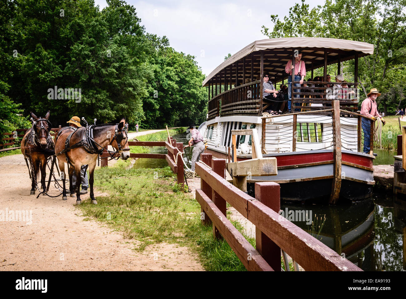 Mule team and drivers pulling Charles F Mercer, Great Falls Tavern, C&O ...