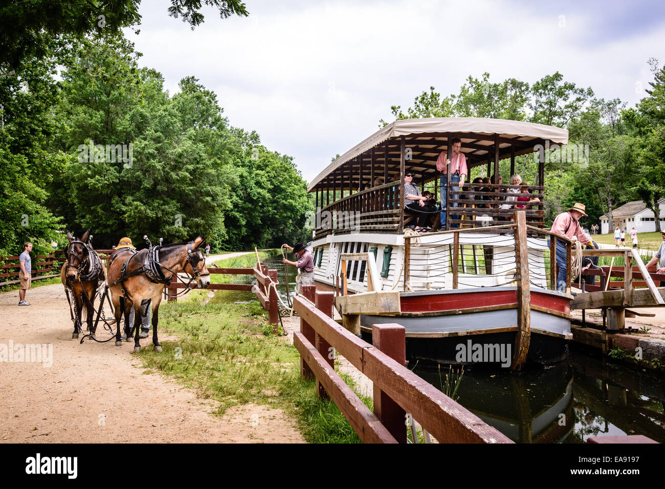 Mule barge hi-res stock photography and images - Alamy