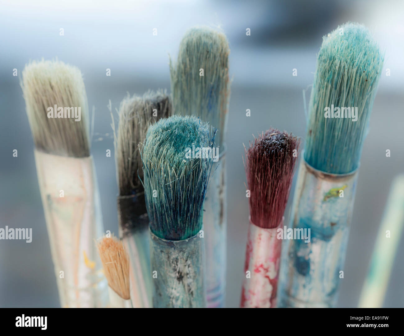 Group of artists paint brushes Stock Photo - Alamy