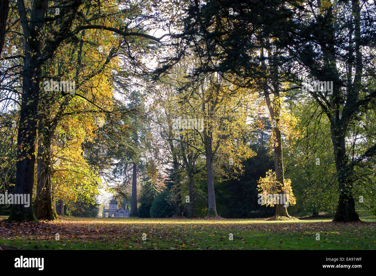 Westonbirt arboretum hi-res stock photography and images - Alamy