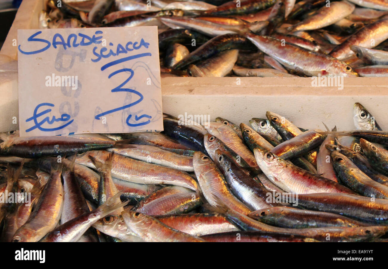Sardines for sale on a market stall in Palermo on Sicily Stock Photo ...