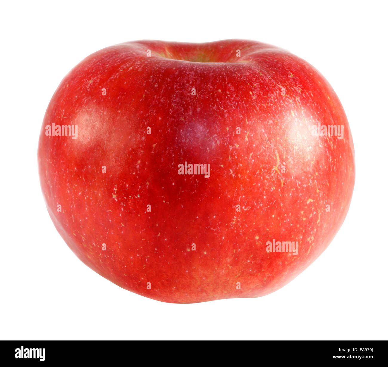 Apple leave hi-res stock photography and images - Alamy