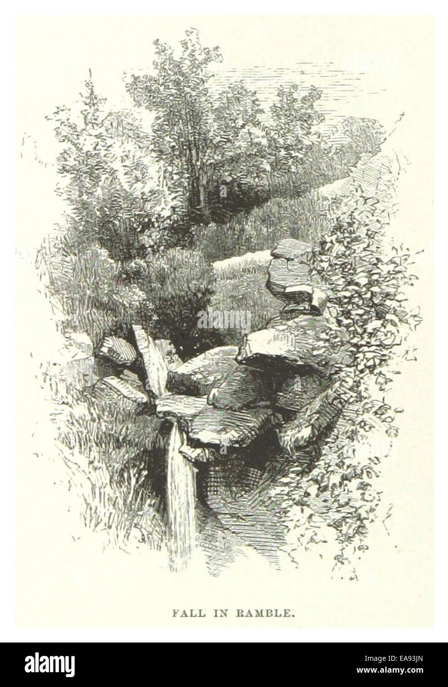 An 1869 depiction of Central Park's Ramble in New York City during ...