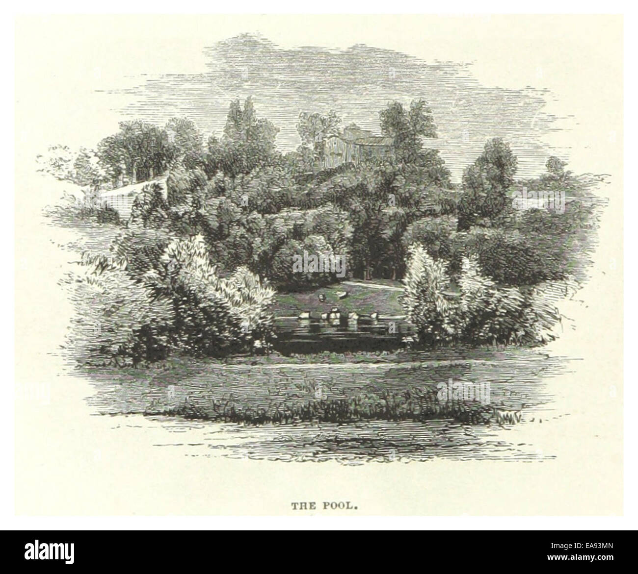 This 1869 image depicts The Pool in Central Park, New York City. The ...