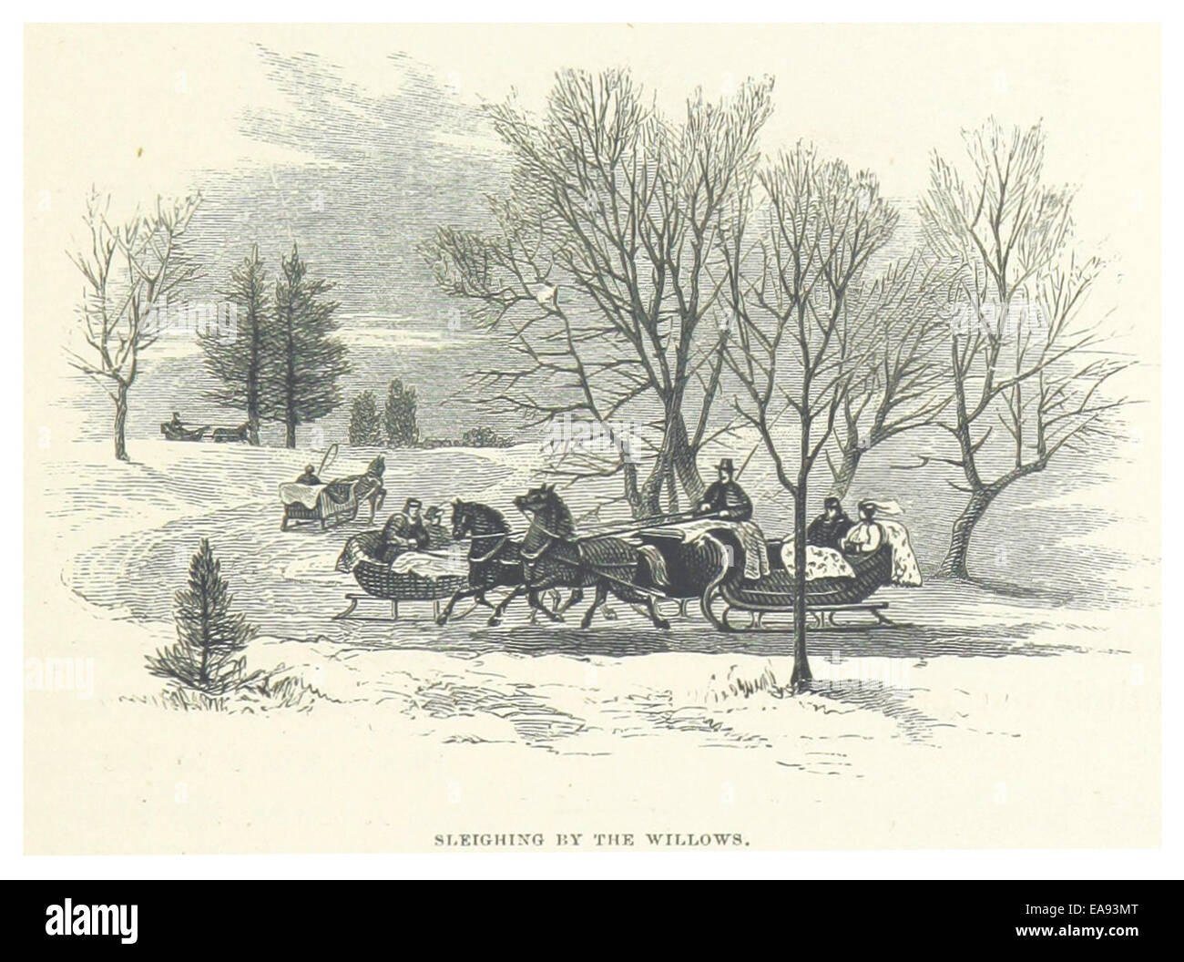 A 1869 illustration from Central Park, New York City, depicting people ...