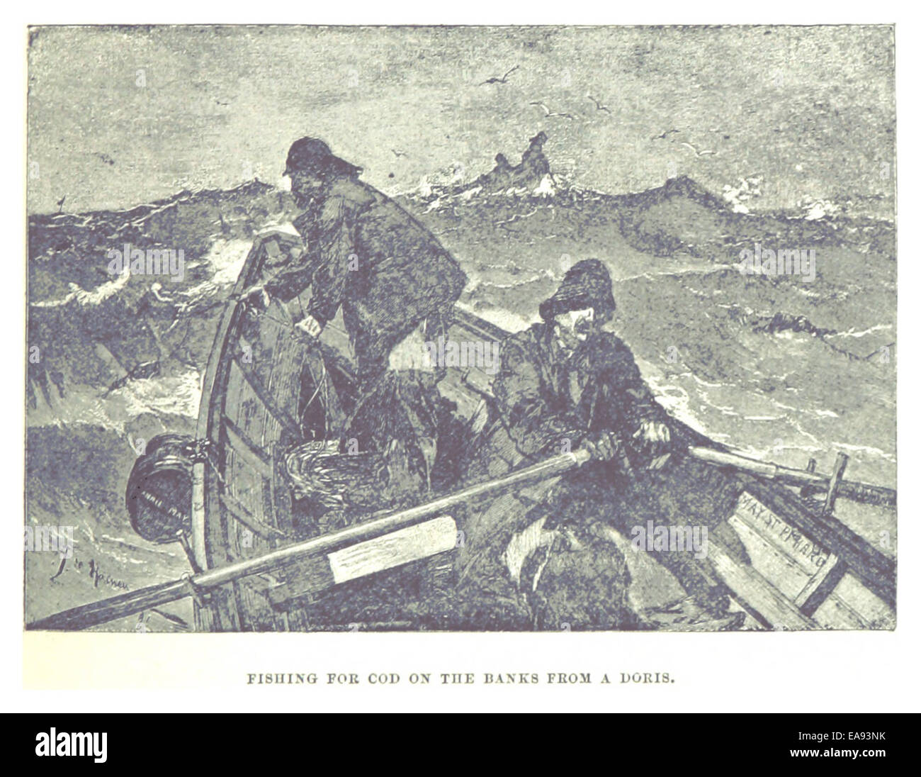 Canada cod fishing Cut Out Stock Images & Pictures - Alamy