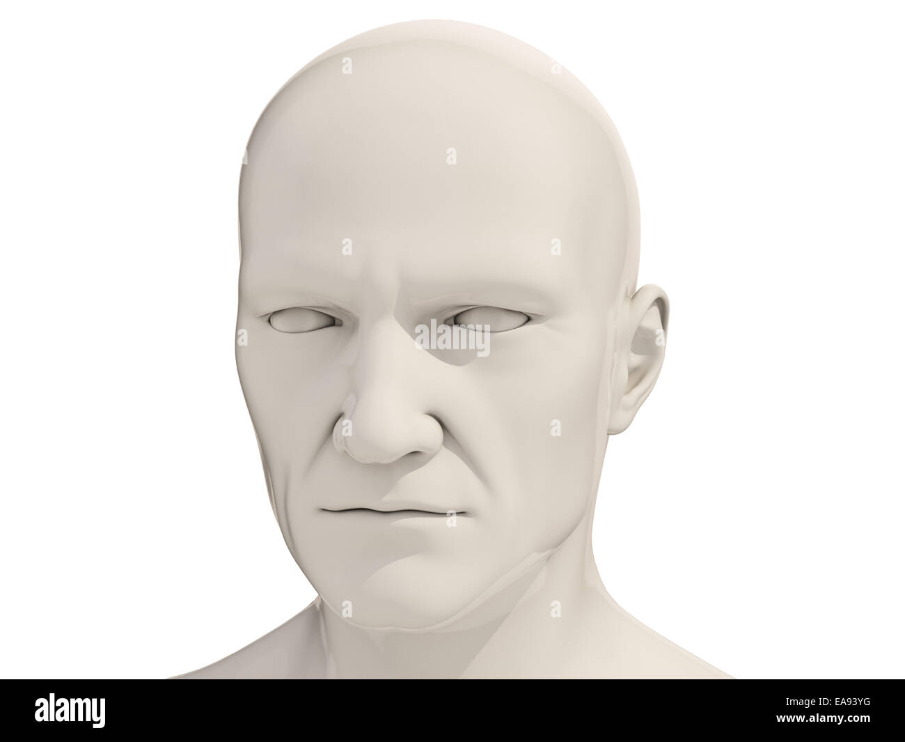 Human head isolated on a white background Stock Photo - Alamy