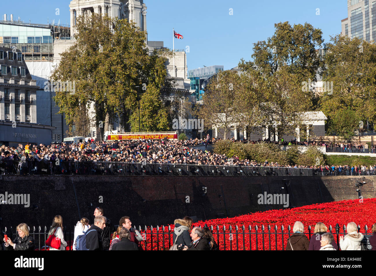 London, UK, 9th November 2014, Remembrance Sunday poppy display at the ...