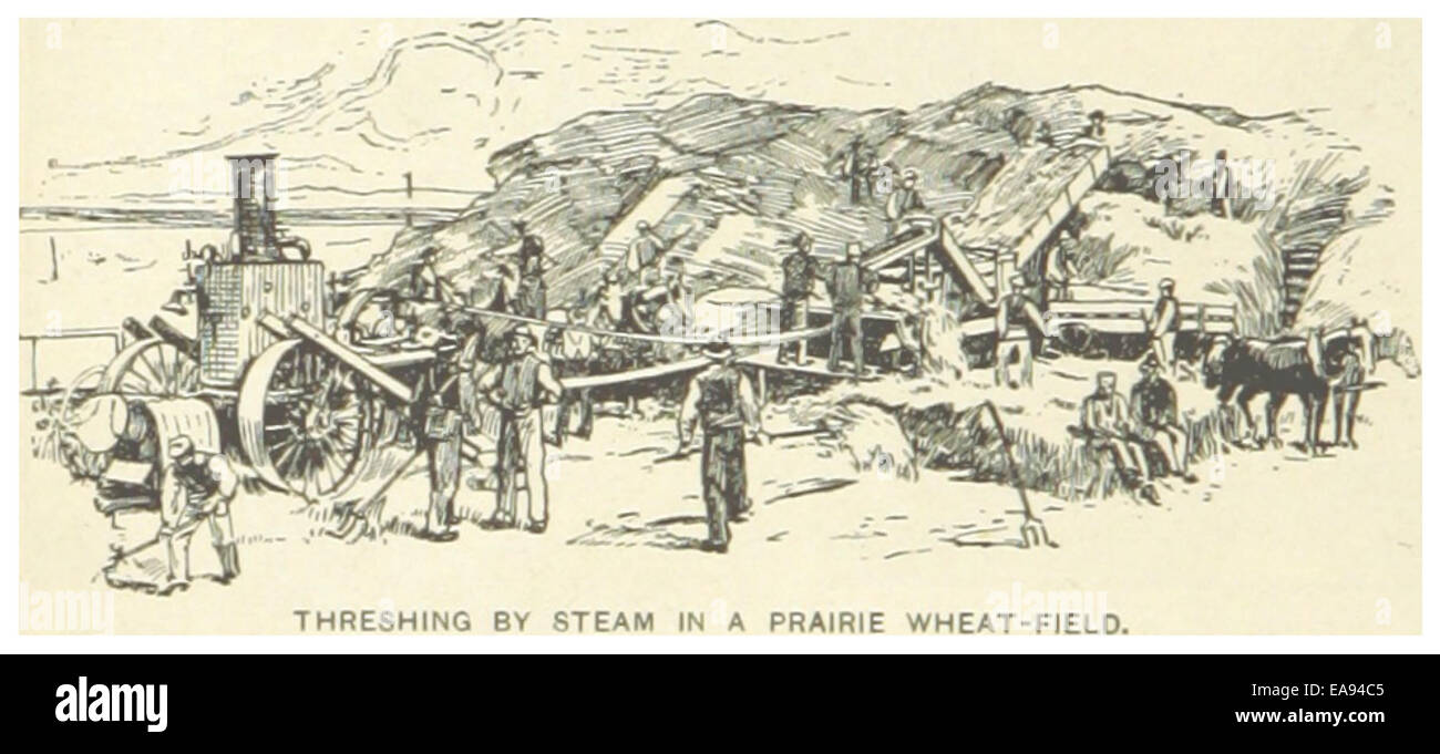 A 1891 illustration showing steam-powered threshing in a wheat field on ...