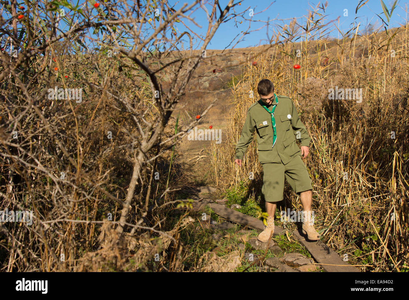 Scout carefully steeping onto a narrow log bridge across a stream as he ...