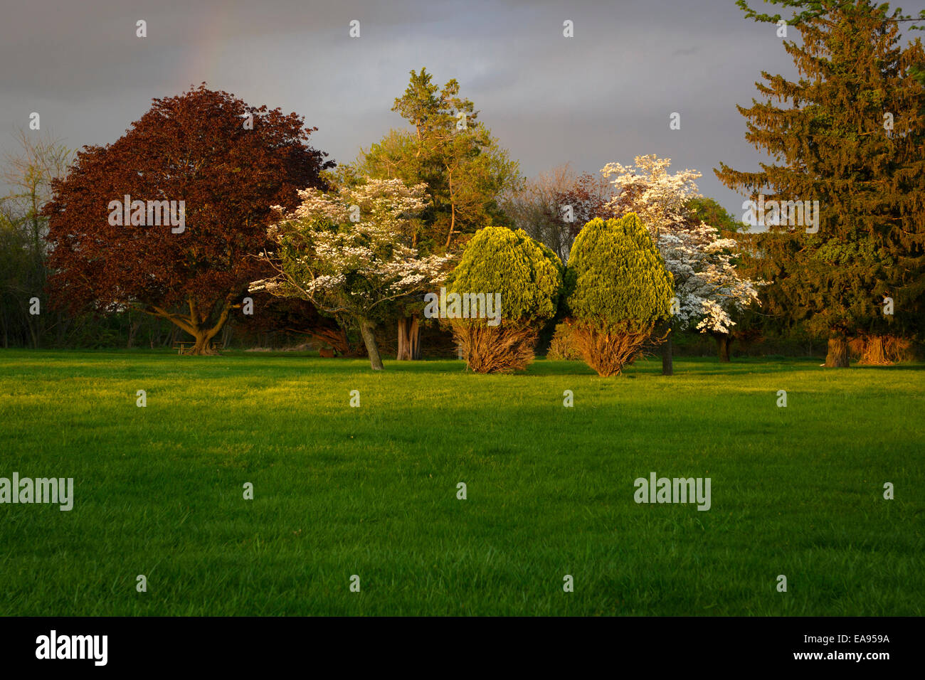 Scenery at Greenbury Point, near Annapolis, Maryland Stock Photo - Alamy