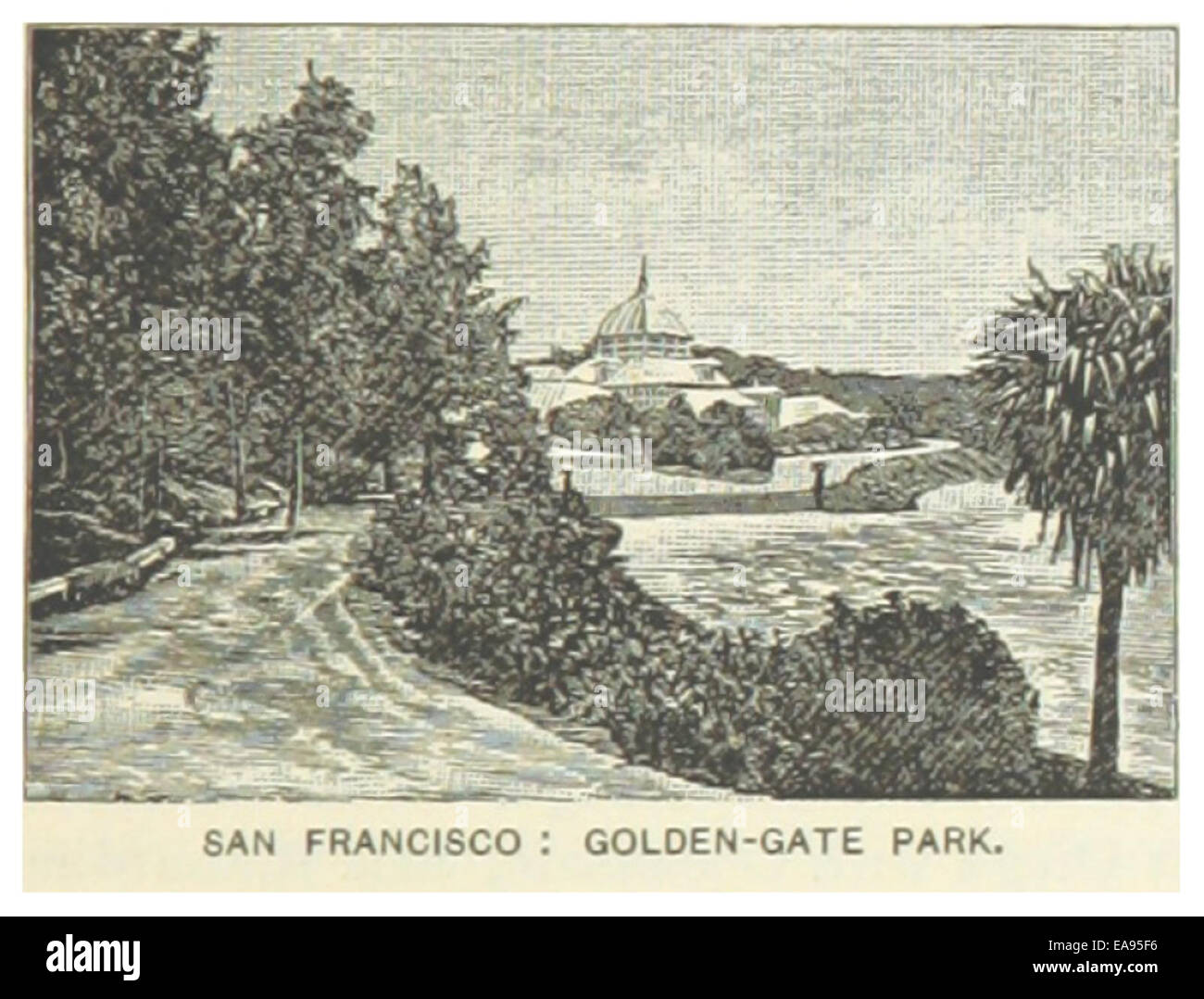 Golden gate park map hi-res stock photography and images - Alamy