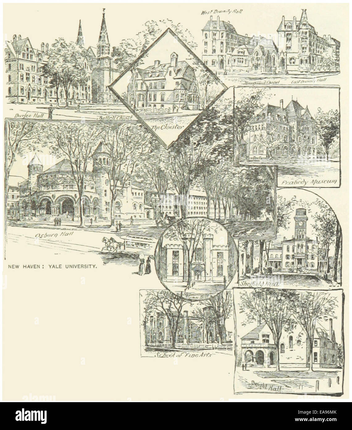 An 1891 illustration of Yale University in New Haven, Connecticut ...