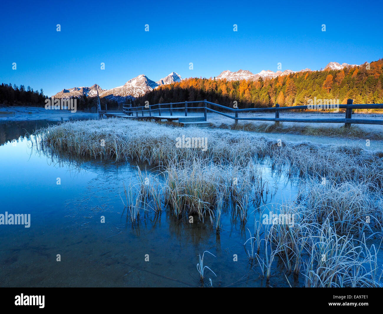 Autumn reflections on the lake Lej da Staz, Engadine Saint Moritz ...