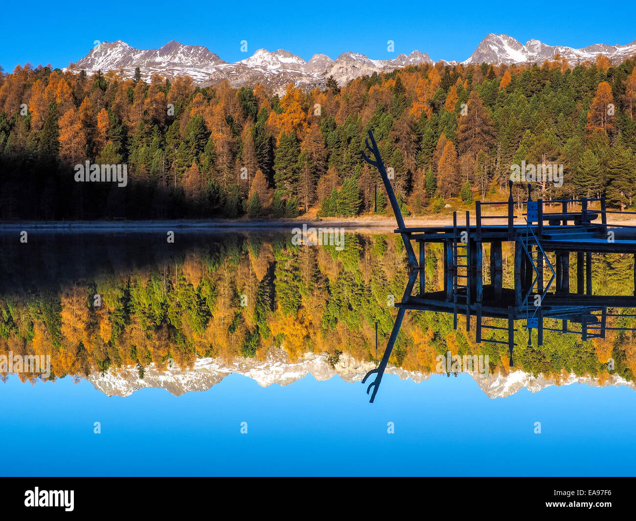 Autumn reflections on the lake Lej da Staz, Engadine Saint Moritz ...