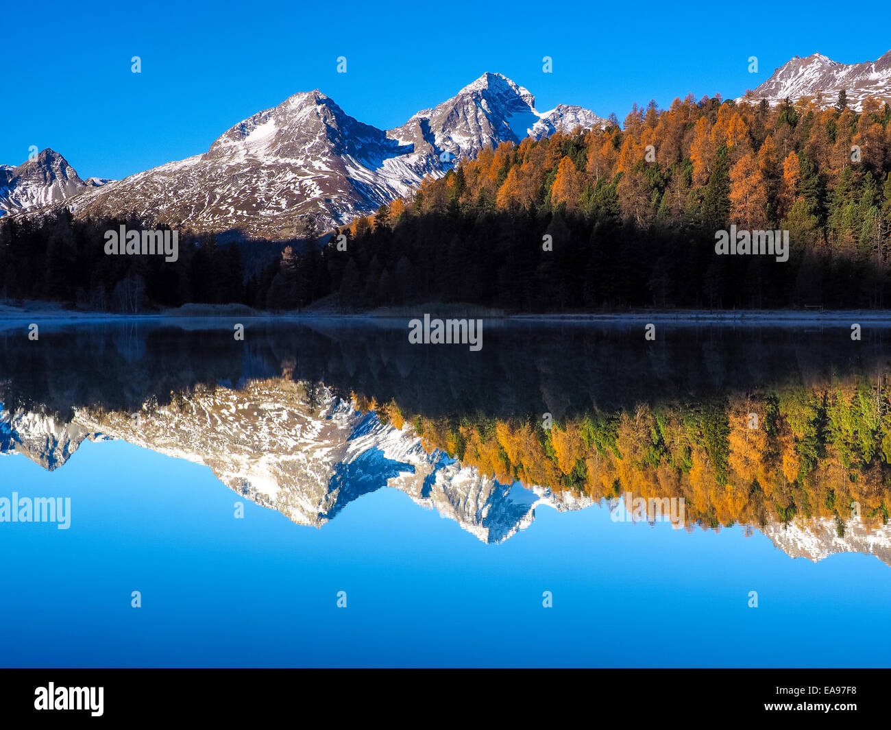 Autumn reflections on the lake Lej da Staz, Engadine Saint Moritz ...