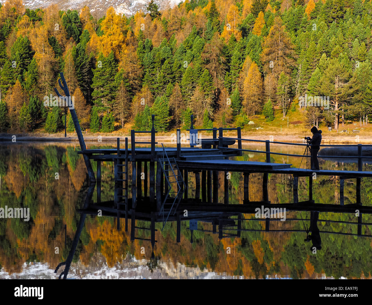 Autumn reflections on the lake Lej da Staz, Engadine Saint Moritz ...