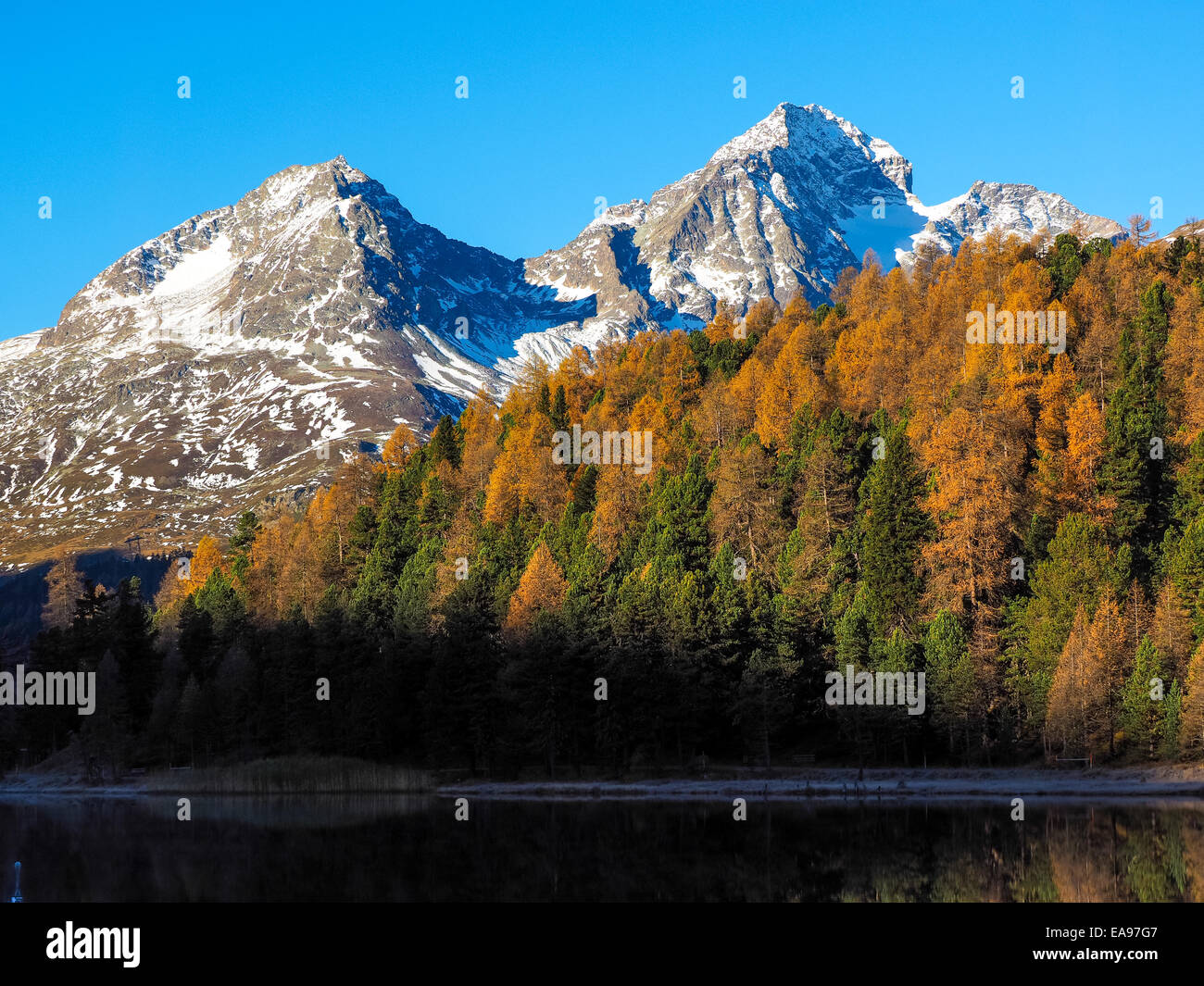 Autumn reflections on the lake Lej da Staz, Engadine Saint Moritz ...