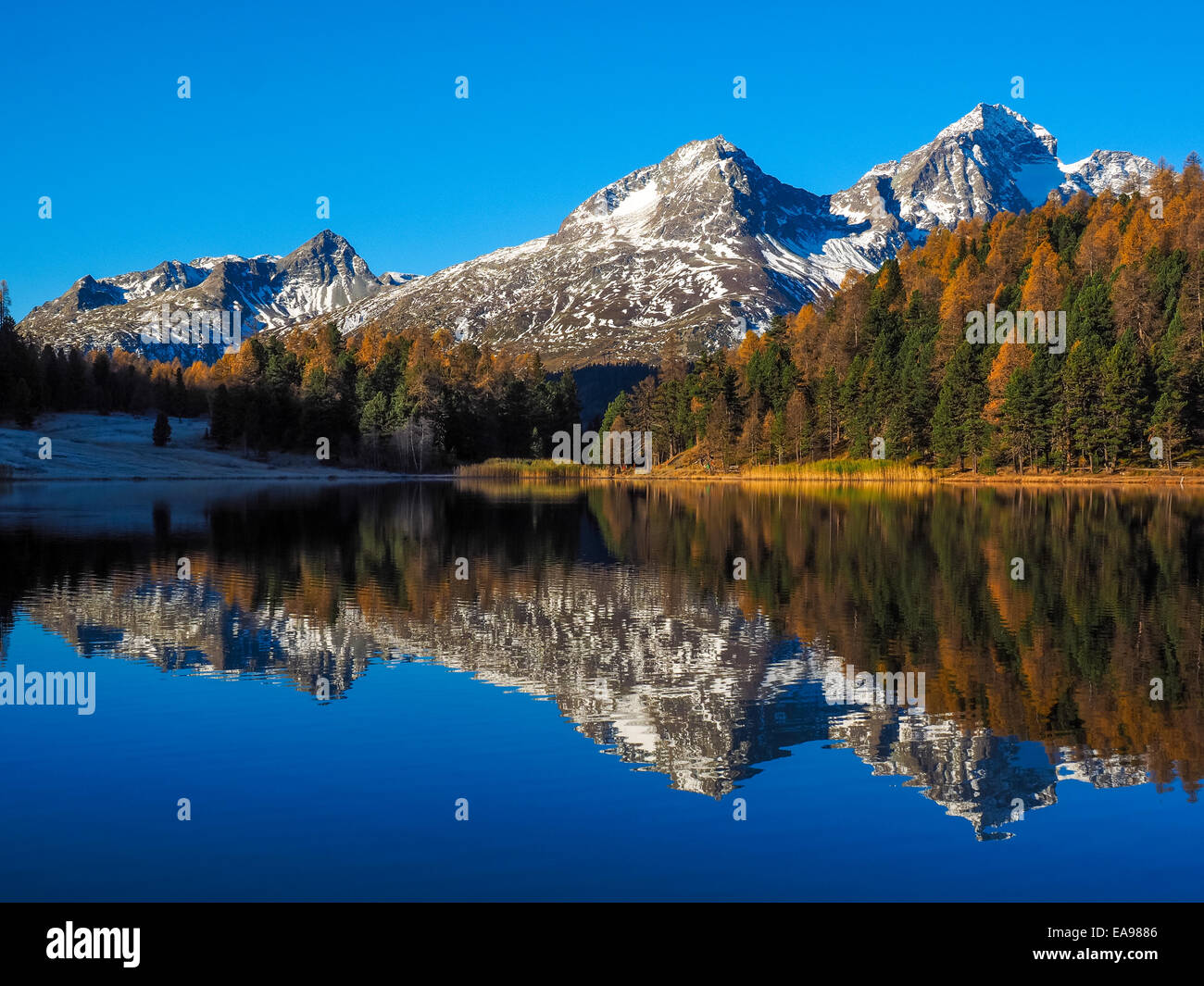 Autumn reflections on the lake Lej da Staz, Engadine Saint Moritz ...
