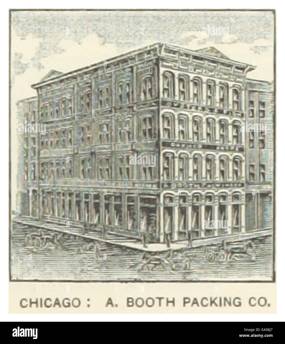 US-IL(1891) p231 CHICAGO, A. BOOTH PACKING COMPANY Stock Photo - Alamy