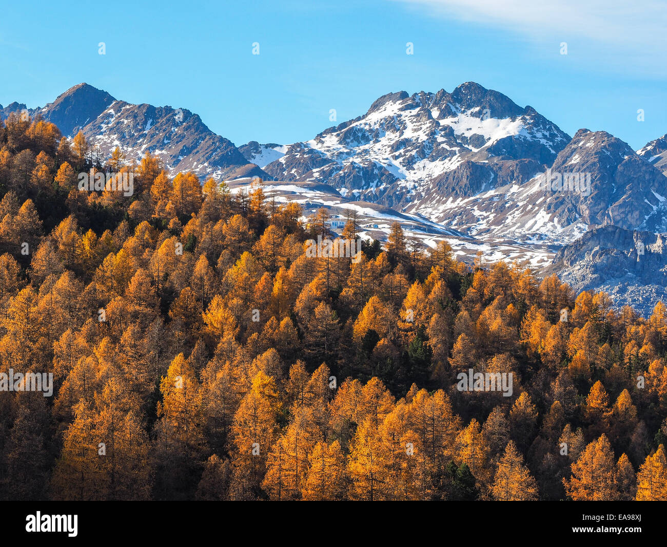 View of the alp mountains in autumn Stock Photo - Alamy