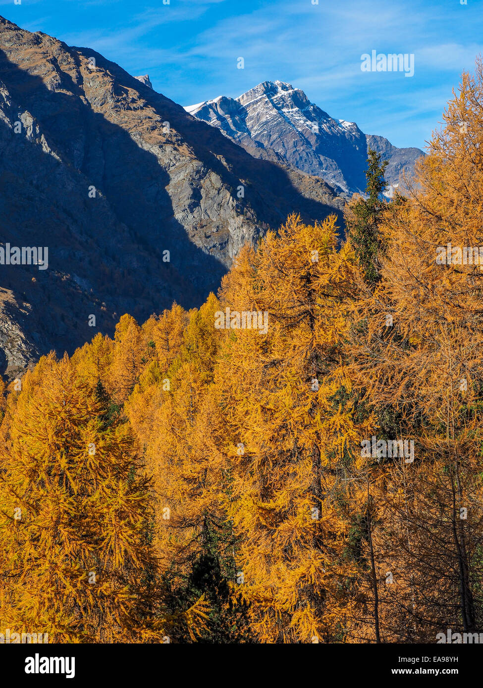 autumn mountain landscape near Saint Moritz - Engadin Switzerland Stock ...