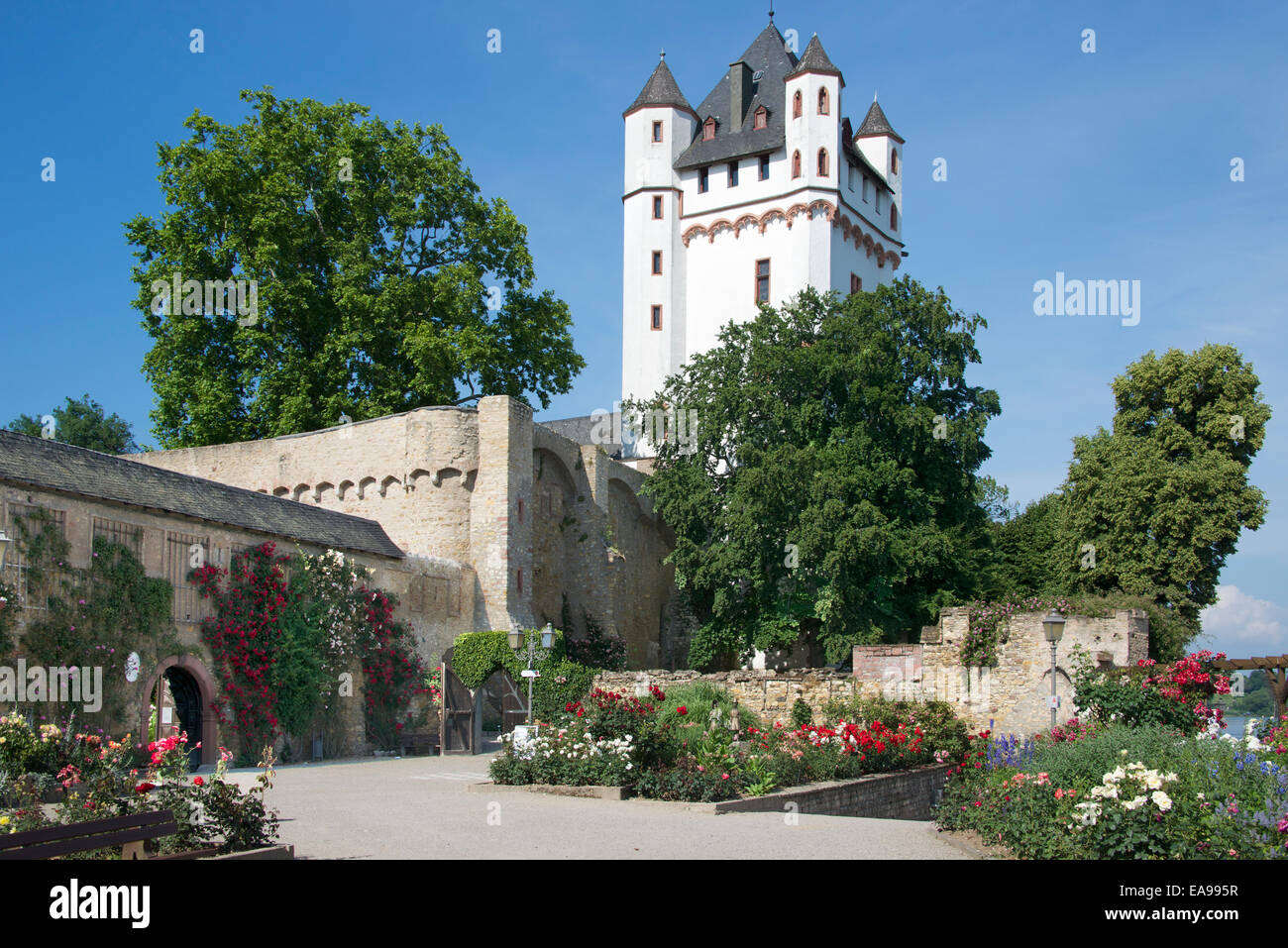 Eltville castle hi-res stock photography and images - Alamy
