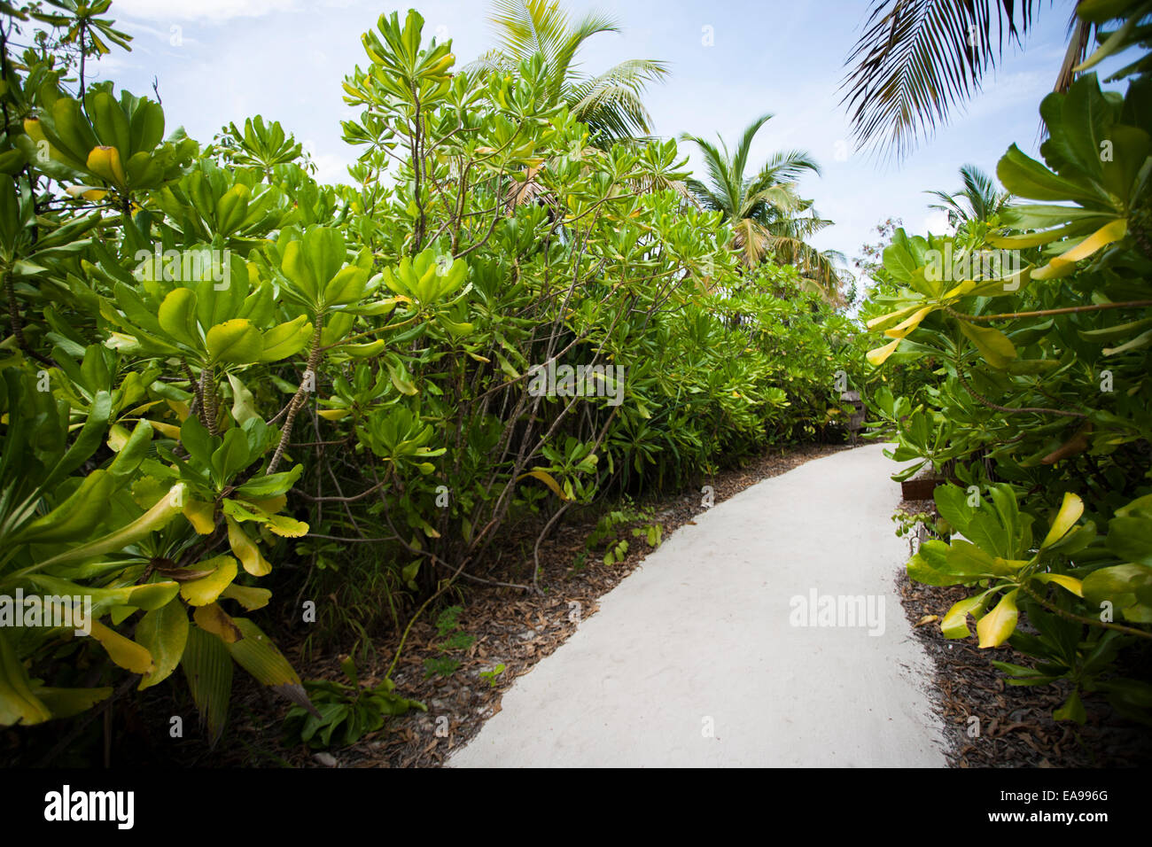 island pathway on the maldives Stock Photo - Alamy