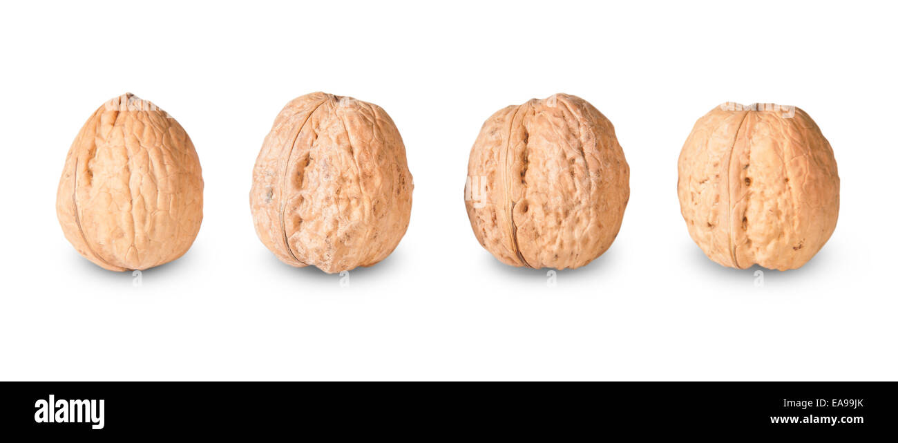 Four Nuts Lying In A Row Isolated On White Background Stock Photo - Alamy