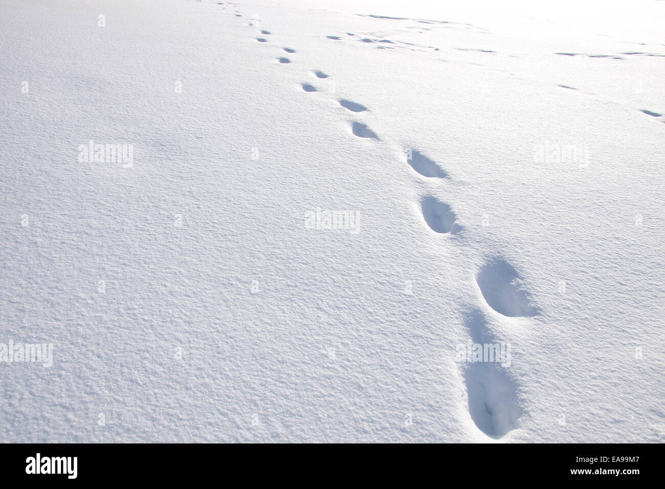 Foot prints in the snow hi-res stock photography and images - Alamy