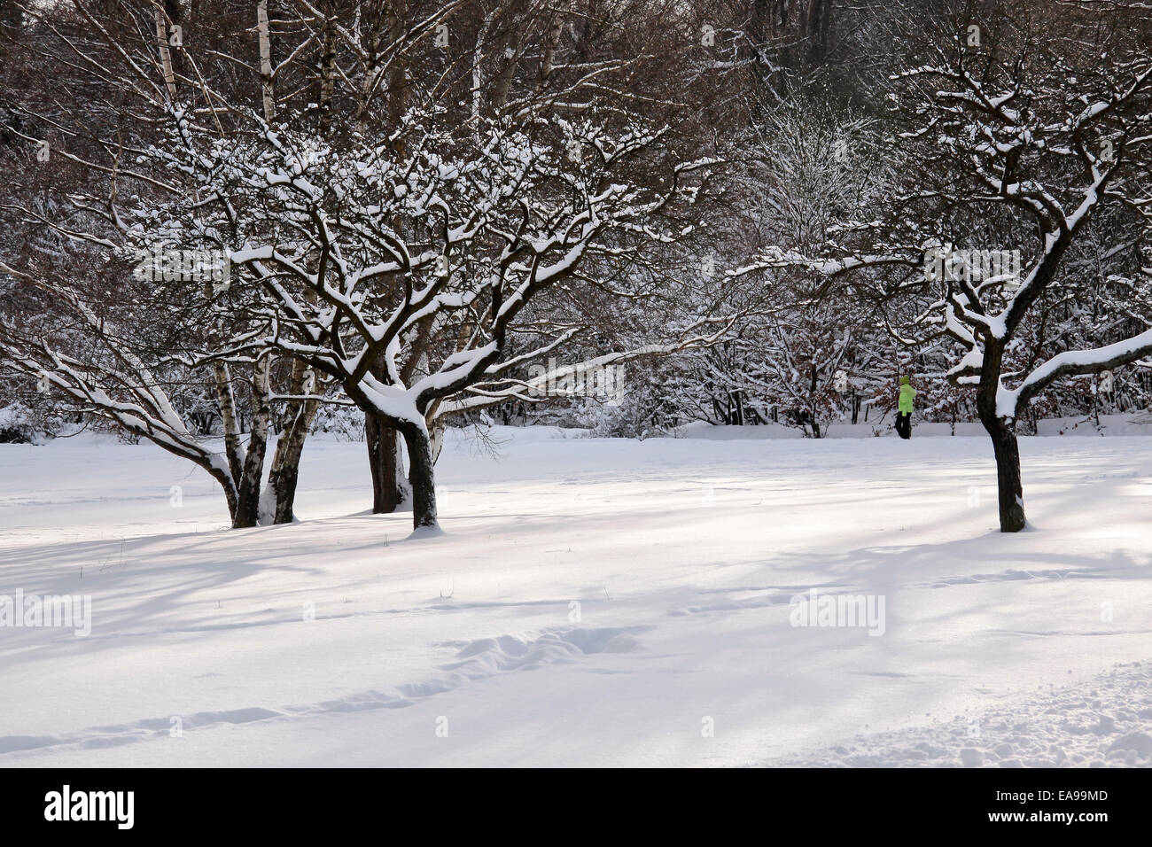 Taunus germany hi-res stock photography and images - Alamy