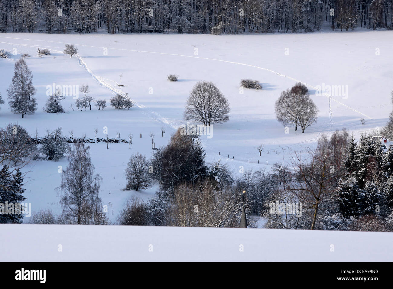 Taunus nature park hi-res stock photography and images - Alamy