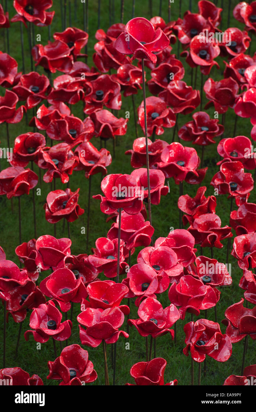 Poppies at Tower of London Poppies display Stock Photo - Alamy