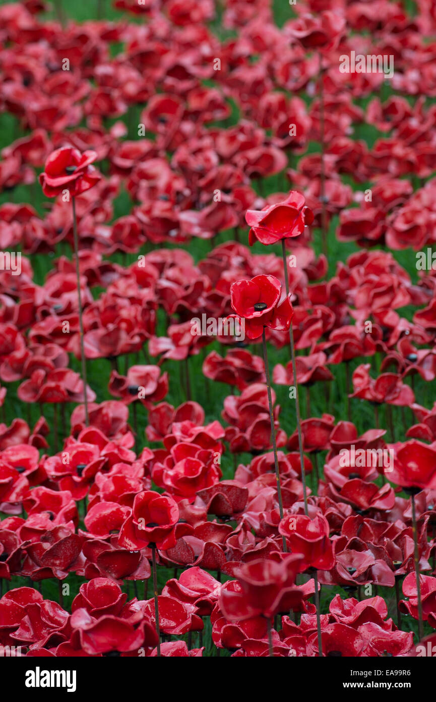 Poppies at Tower of London Poppies display Stock Photo - Alamy
