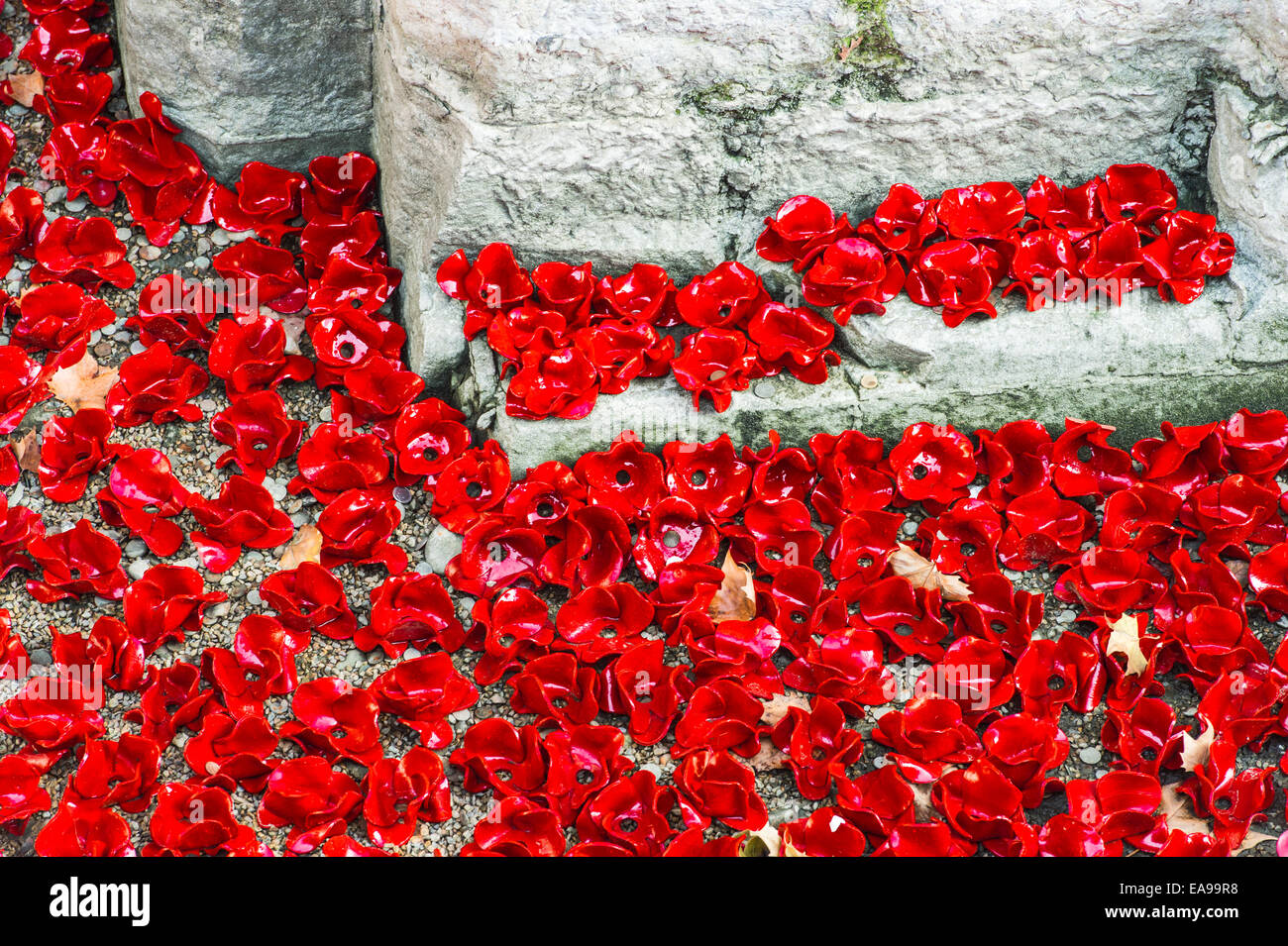 Poppies at Tower of London Poppies display Stock Photo - Alamy