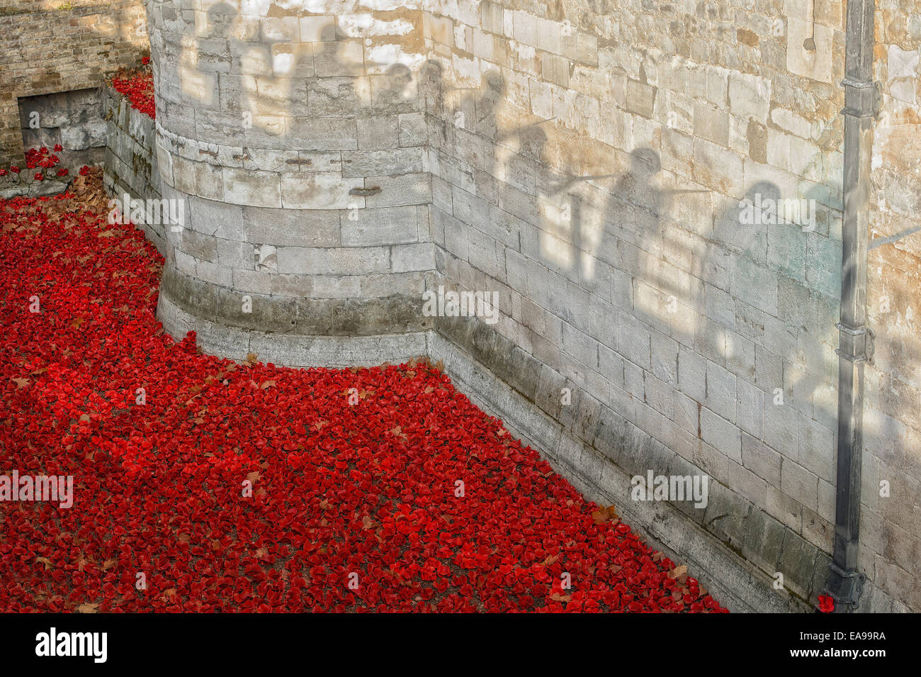 Poppies at Tower of London Poppies display Stock Photo - Alamy