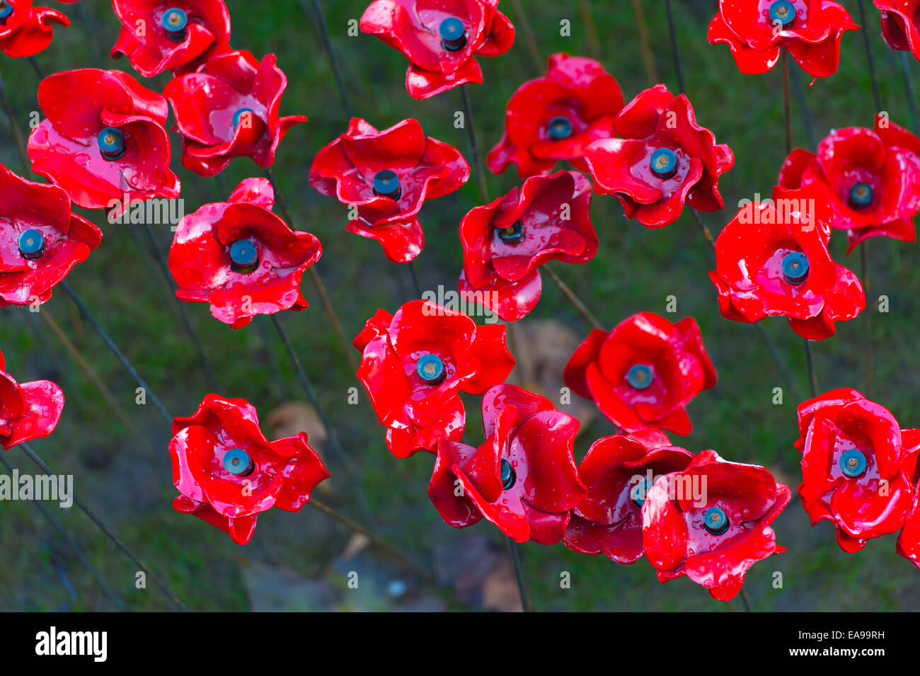 Poppies at Tower of London Poppies display Stock Photo - Alamy