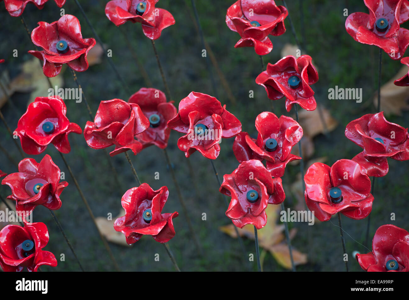 Poppies at Tower of London Poppies display Stock Photo - Alamy