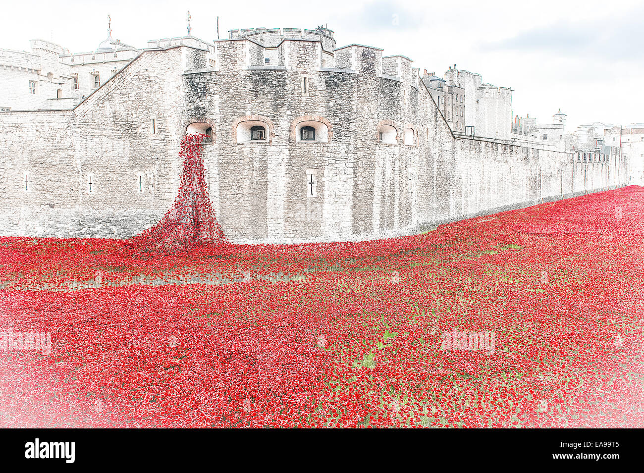Poppies at Tower of London Poppies display Stock Photo - Alamy