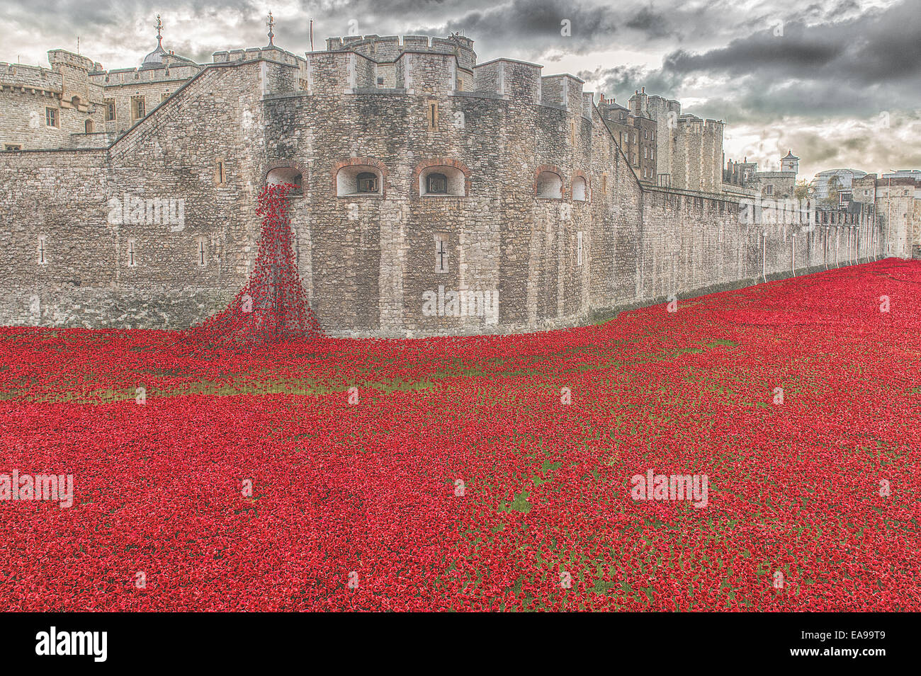 Poppies at Tower of London Poppies display Stock Photo - Alamy