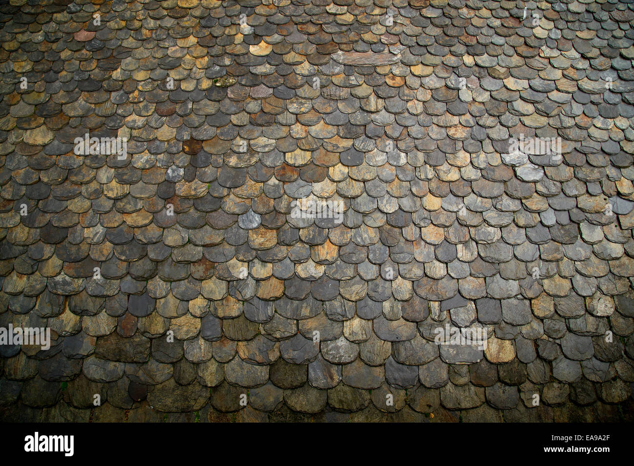 Old slate roof tiles with rounded edges in close-up Stock Photo - Alamy